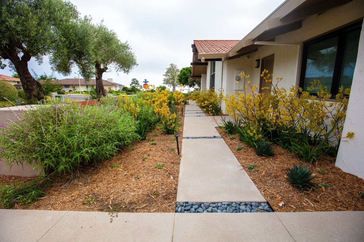 Decomposed Granite in Los Angeles: Types and Installation